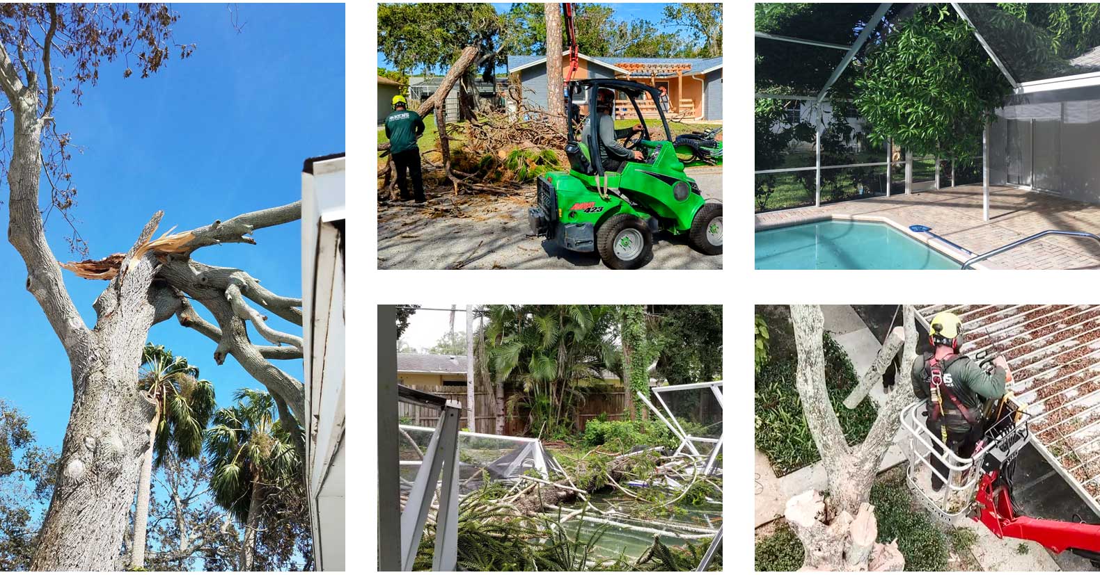 American Tree Experts Land